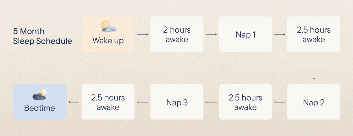 5 Month Old Sleep Schedule: Wake Windows & Nap Tips